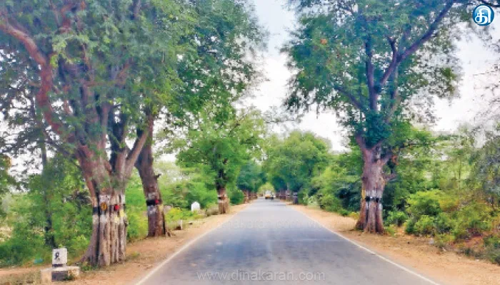 சாலை விரிவாக்க பணிக்காக மரங்கள் வெட்டப்பட்டதால் சாலை வெறிச்சோடியது ...